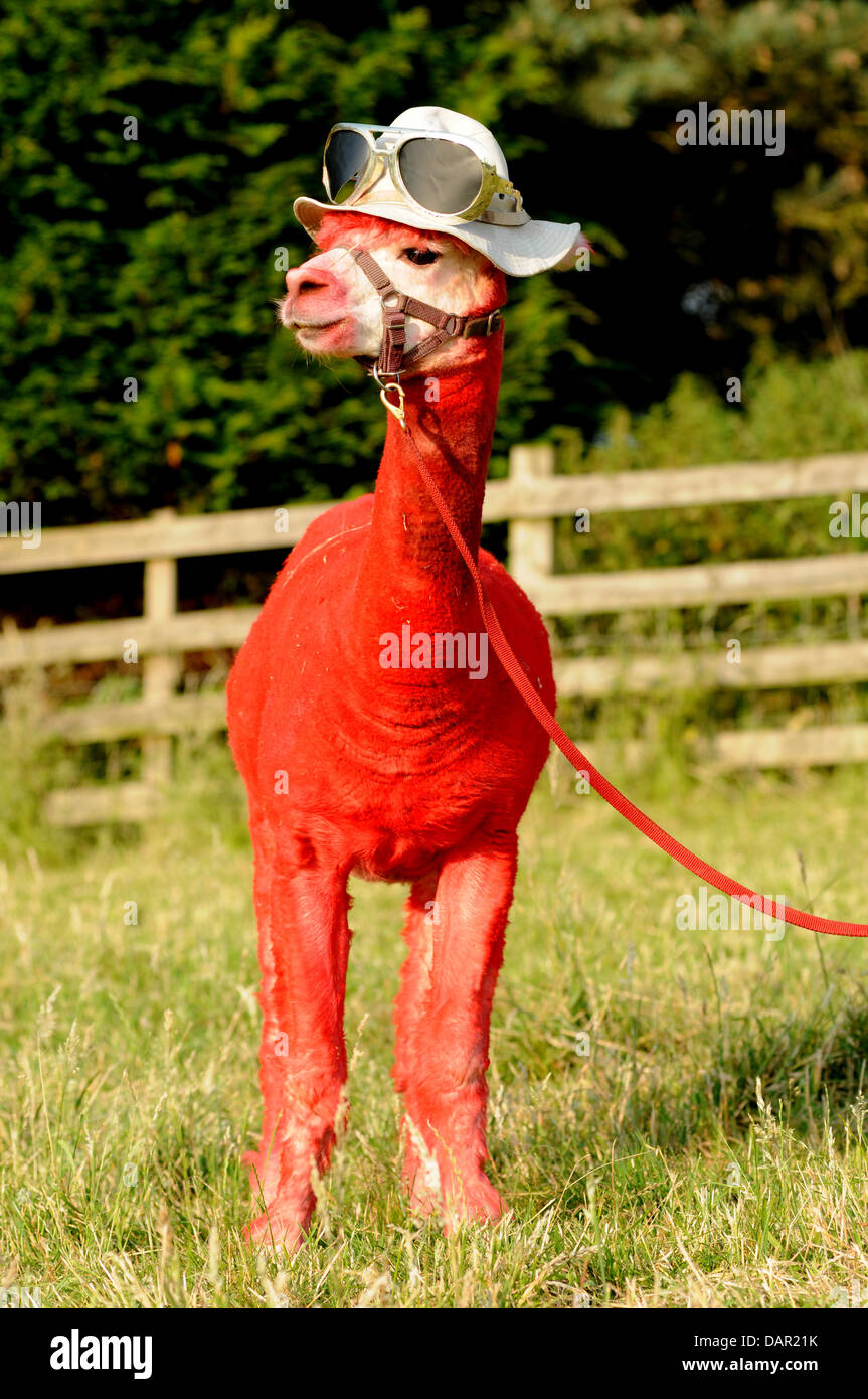 Toft farm hi-res stock photography and images - Alamy