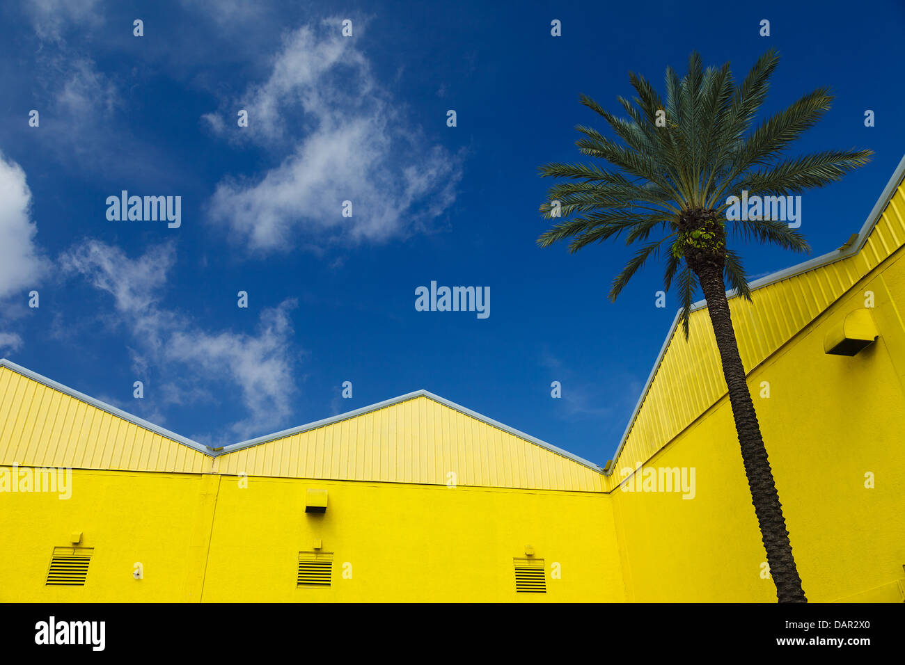 yellow warehouse buildings against blue sky with palm tree, Florida ...