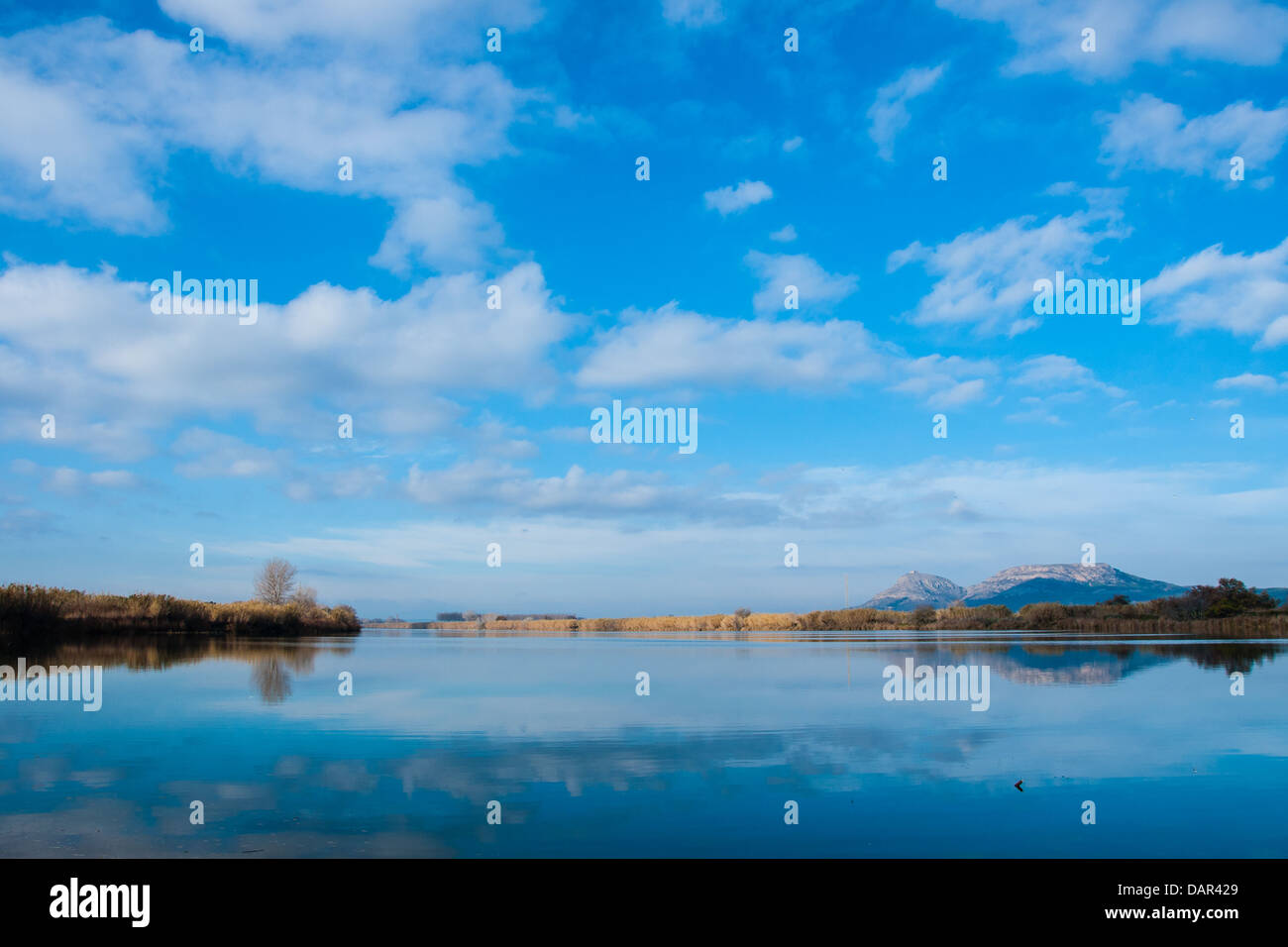 Torroella ter hi-res stock photography and images - Alamy