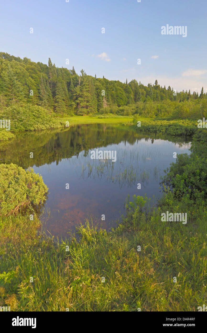 Small lake in Mont Tremblant National Park in Quebec Canada Stock Photo ...