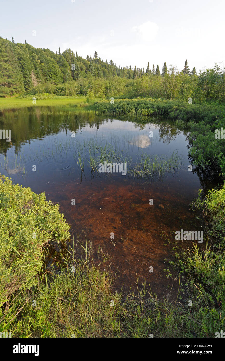 Small lake in Mont Tremblant National Park in Quebec Canada Stock Photo ...