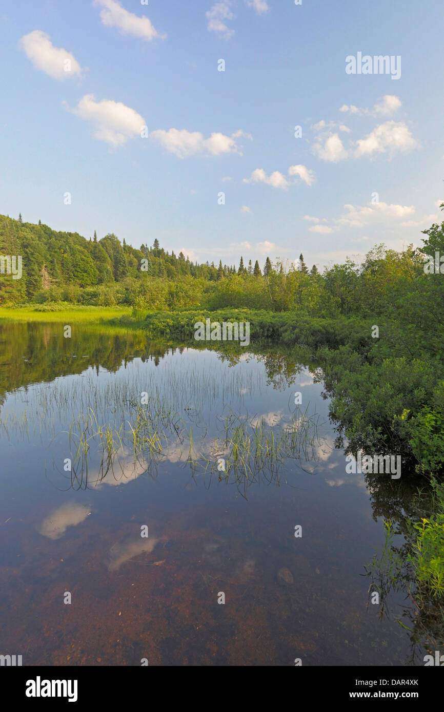 Small lake in Mont Tremblant National Park in Quebec Canada Stock Photo ...