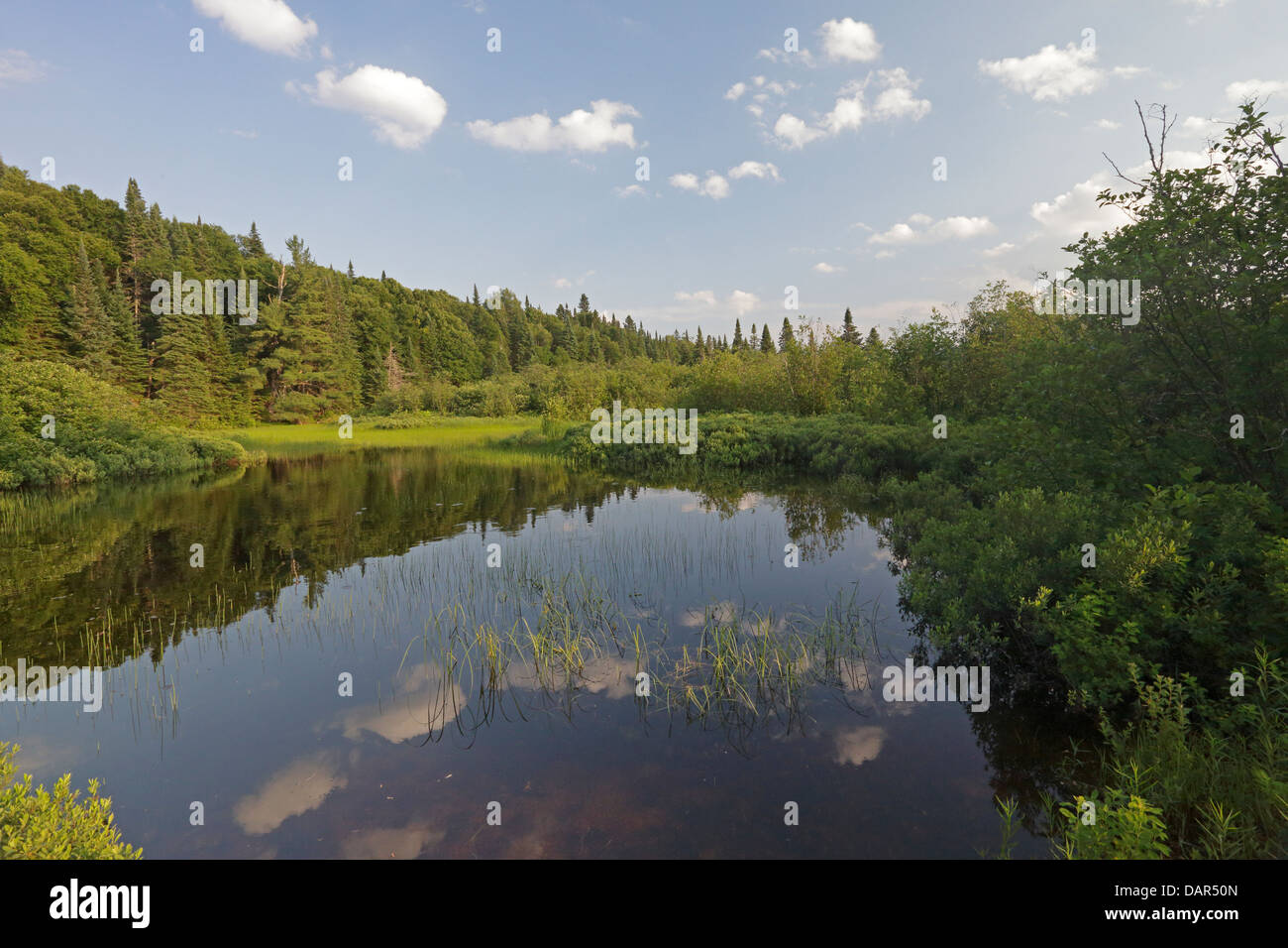 Small lake in Mont Tremblant National Park in Quebec Canada Stock Photo ...