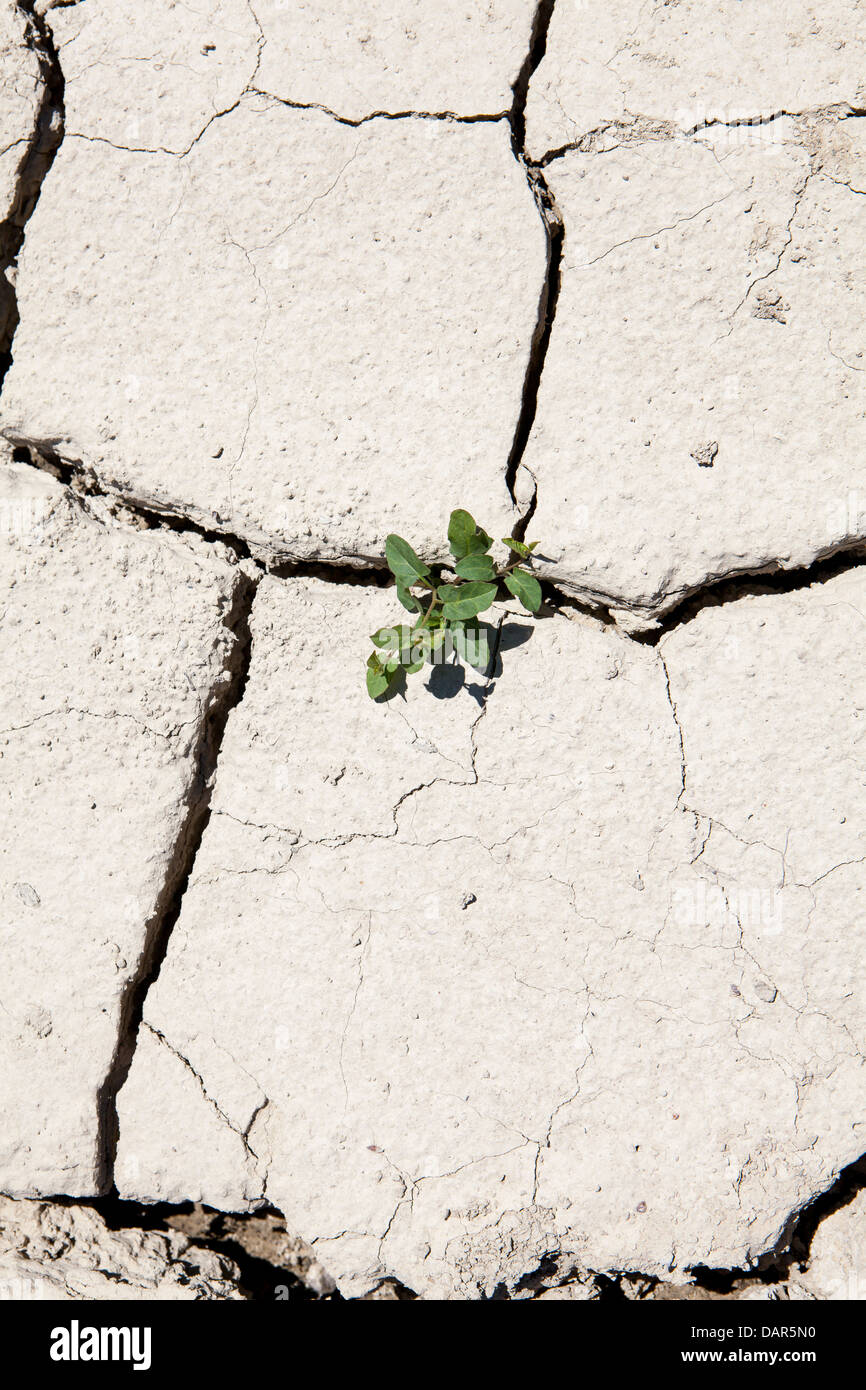 Clods of ground hi-res stock photography and images - Alamy