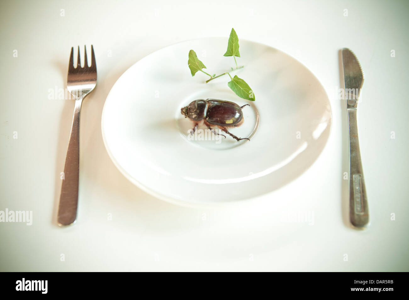 Dishes of insect food hi-res stock photography and images - Alamy
