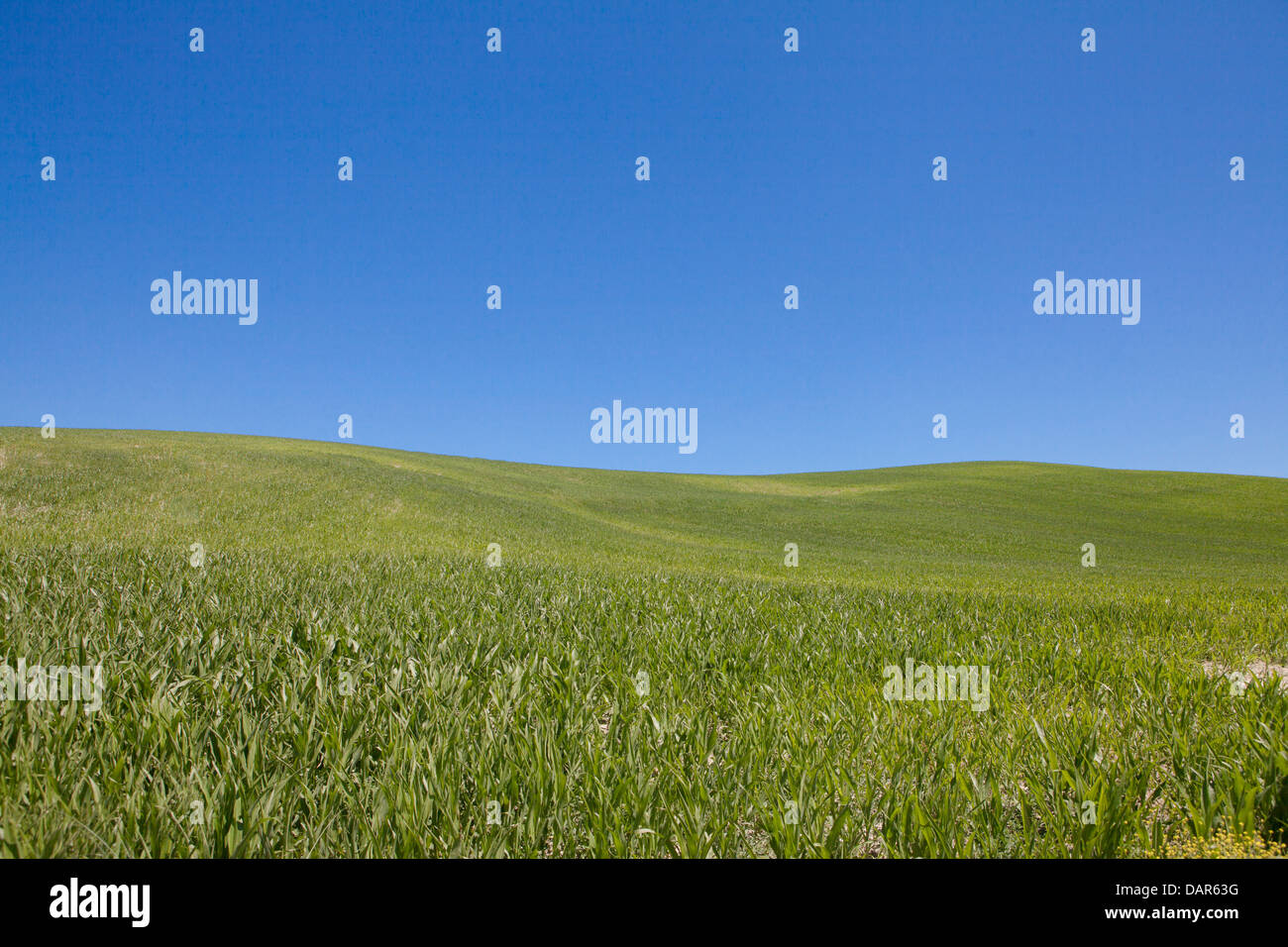 Tonco hi-res stock photography and images - Alamy