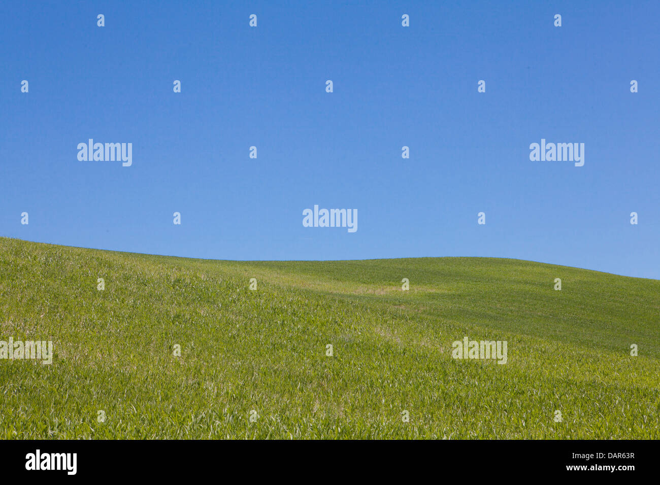 Tonco hi-res stock photography and images - Alamy