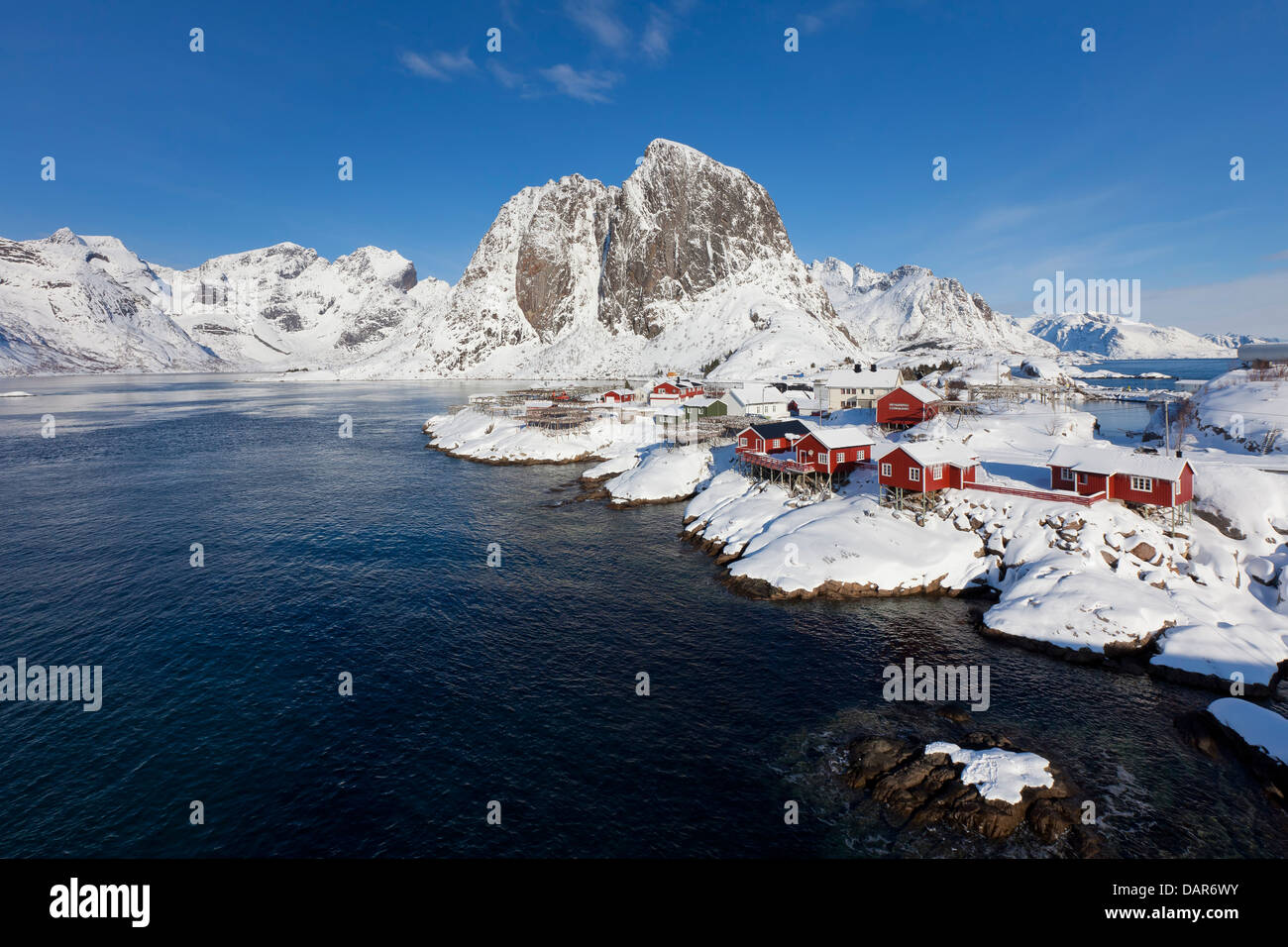 Rorbus hi-res stock photography and images - Alamy