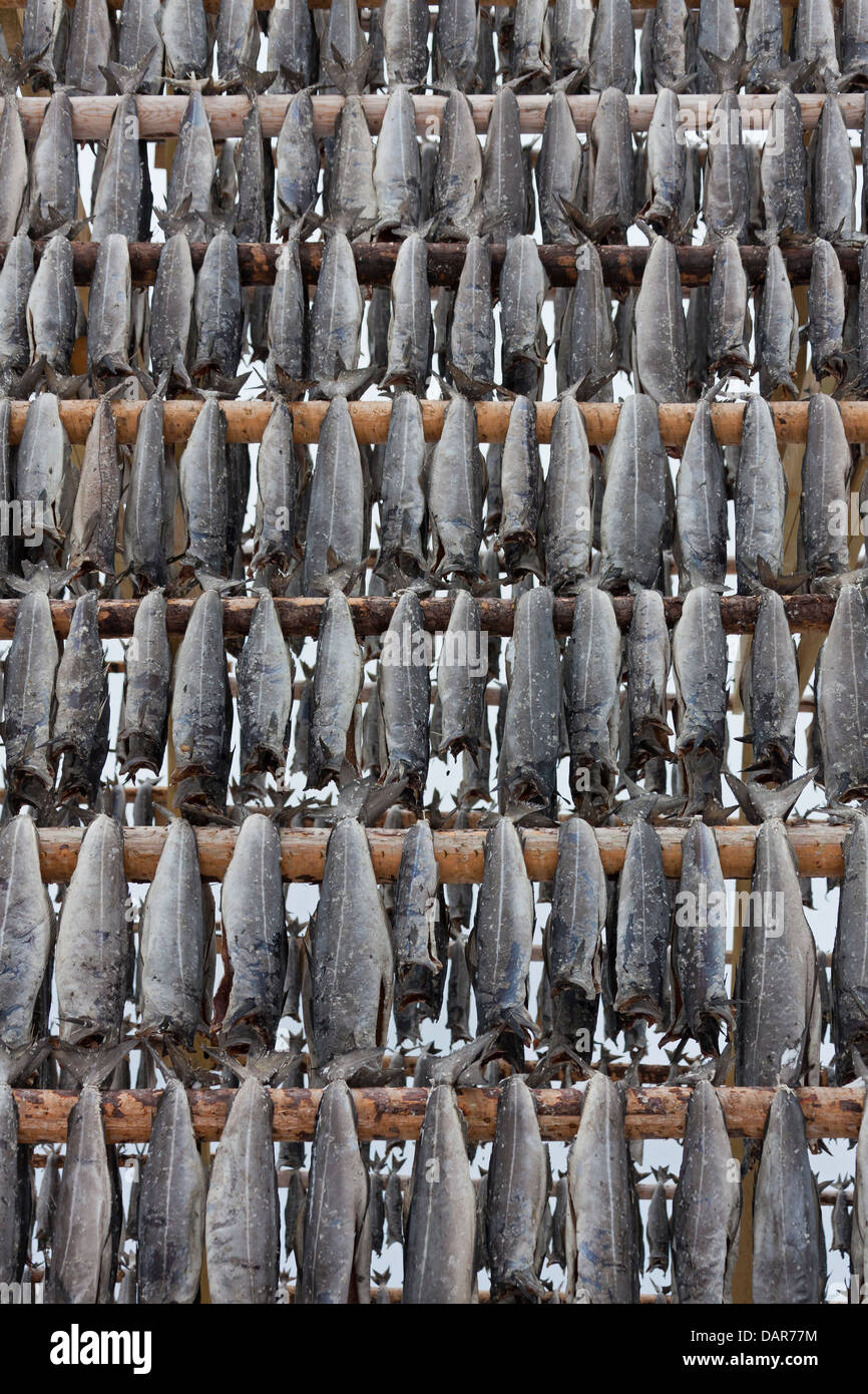Dried stockfish hi-res stock photography and images - Alamy