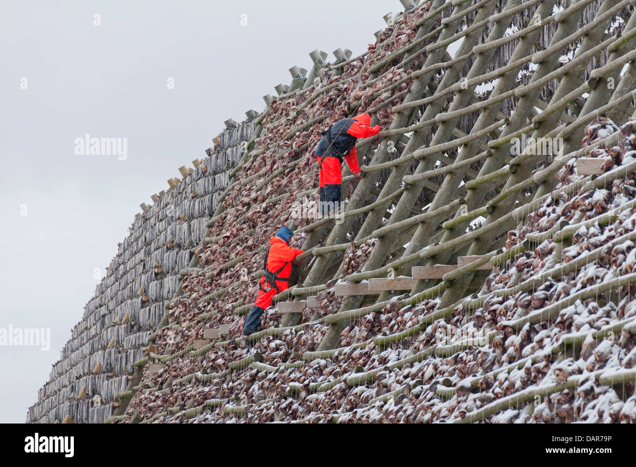 Climbing rack hi-res stock photography and images - Alamy