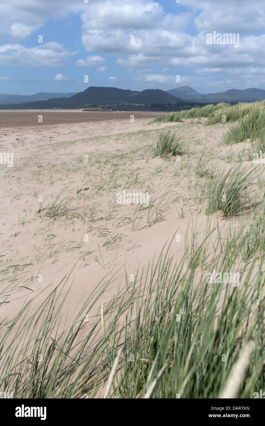 Town of Harlech, Wales. Picturesque peaceful view of sand dunes on the ...