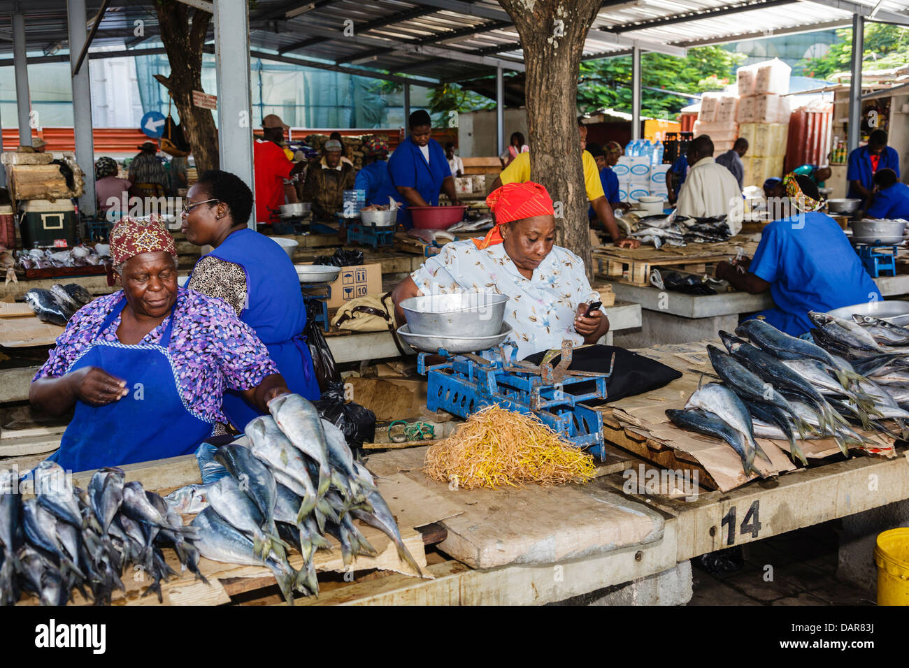 Maputo Fish Market Maputo Fish Market | Stock Image | Colourbox