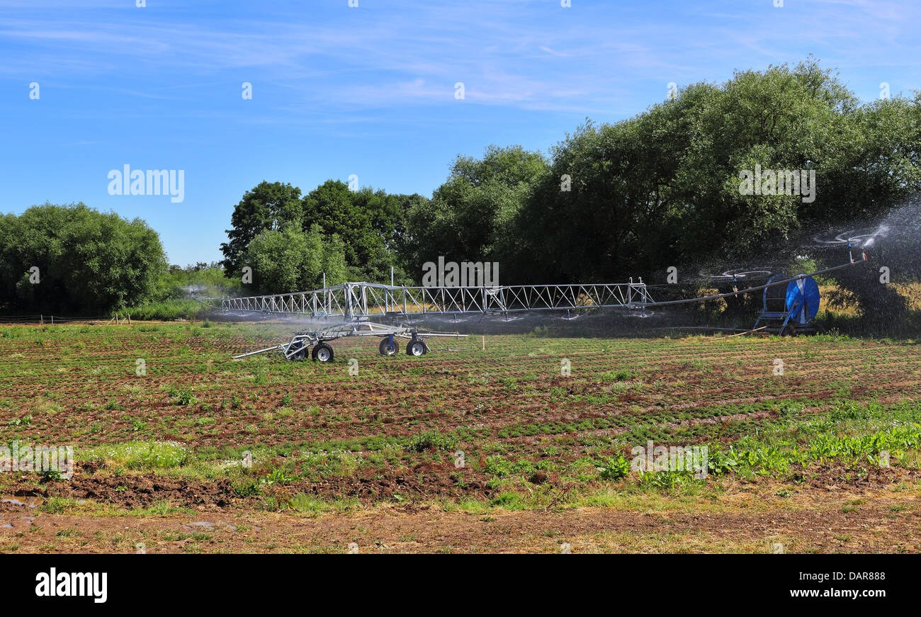 Field of Crops being watered with an irrigation machine Stock Photo - Alamy