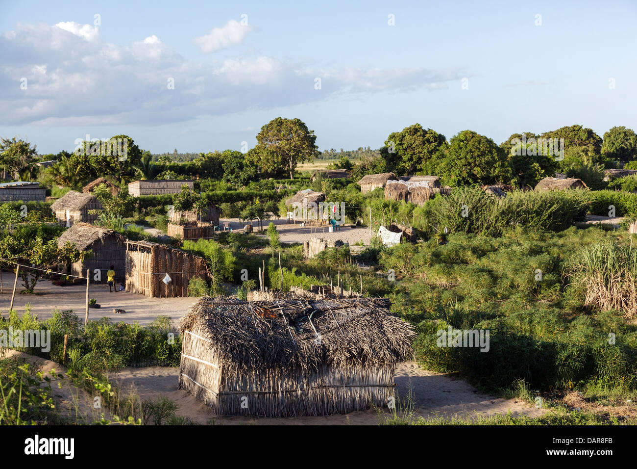 Africa, Mozambique, Inhambane. Thatched structures and trees Stock ...