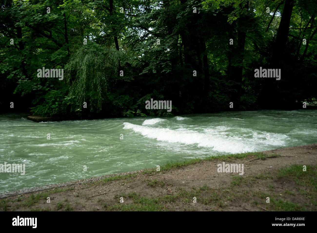 Whitewater on a fast-flowing river with tree-lined banks Stock Photo ...