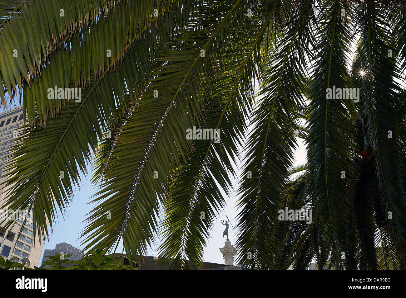 union square palm tree statue san francisco Stock Photo - Alamy