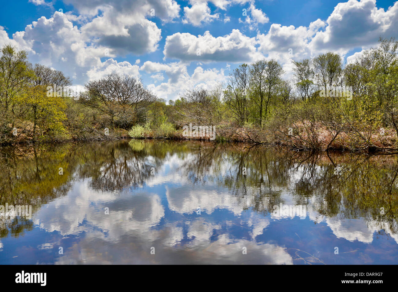 Breney Common; Wildlife Trust Reserve; Cornwall; UK Stock Photo - Alamy