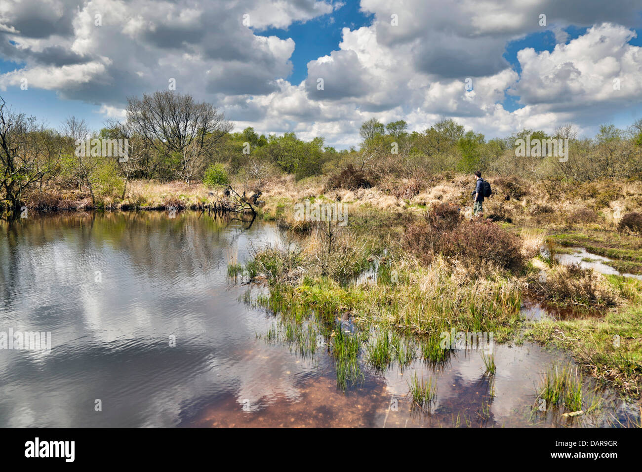 Breney Common; Wildlife Trust Reserve; Cornwall; UK Stock Photo - Alamy