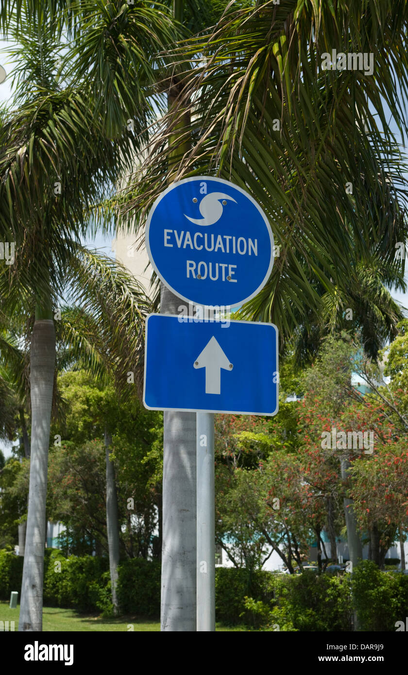 BLUE HURRICANE EVACUATION ROUTE SIGN IN FRONT OF PALM TREES FORT ...