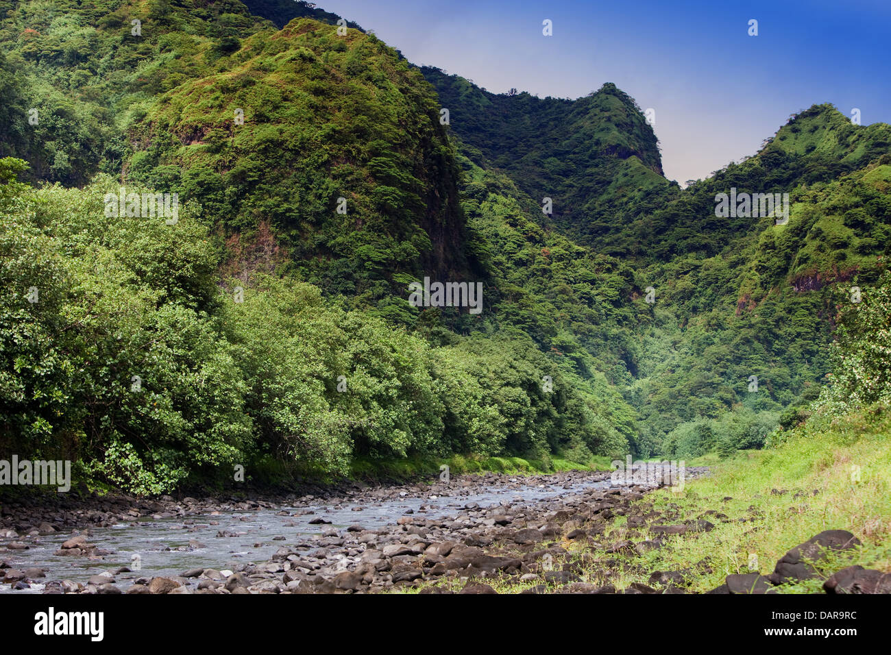 Tahiti nature hi-res stock photography and images - Alamy