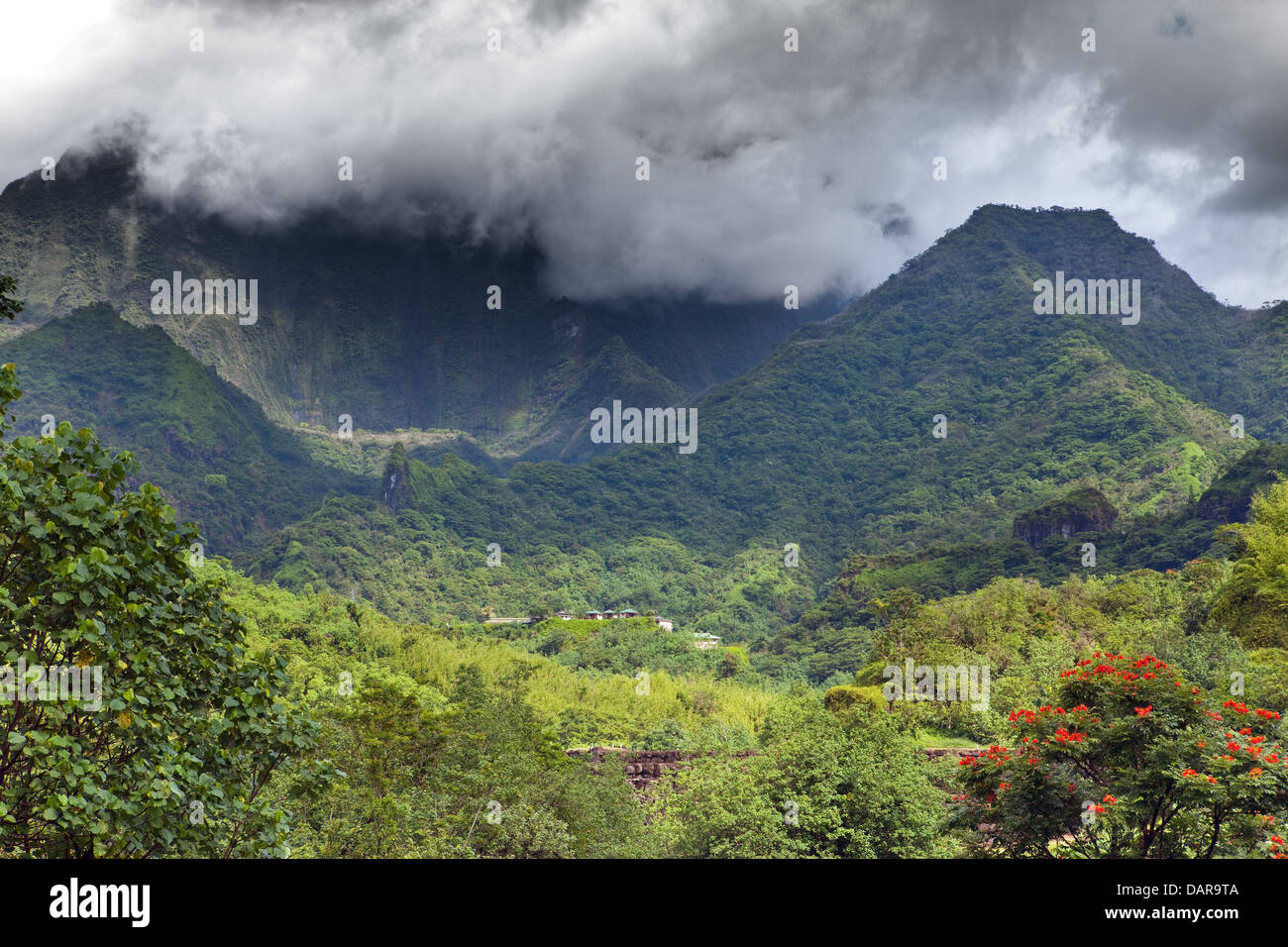 Tahiti, mountains. Tropical nature Stock Photo - Alamy