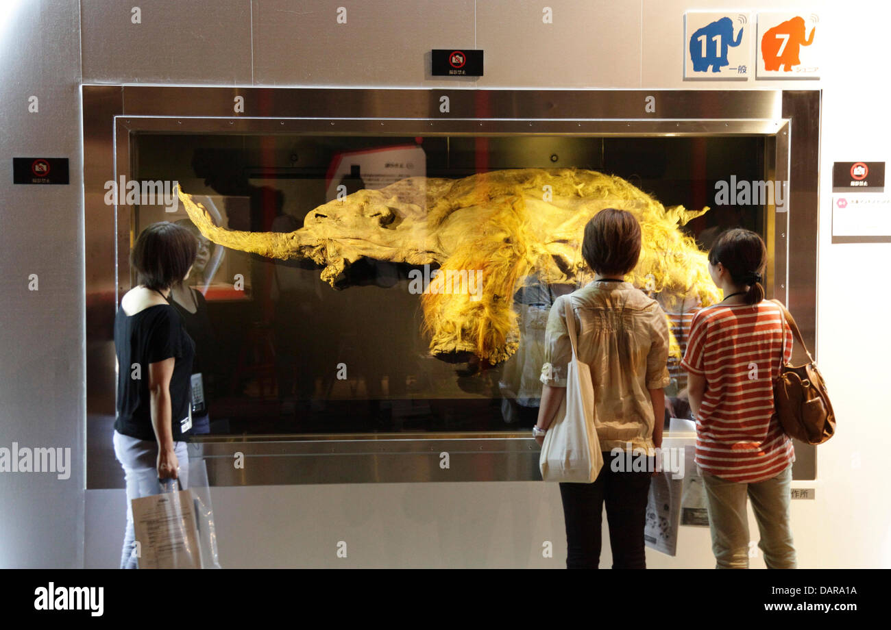 Frozen woolly mammoth hi-res stock photography and images - Alamy