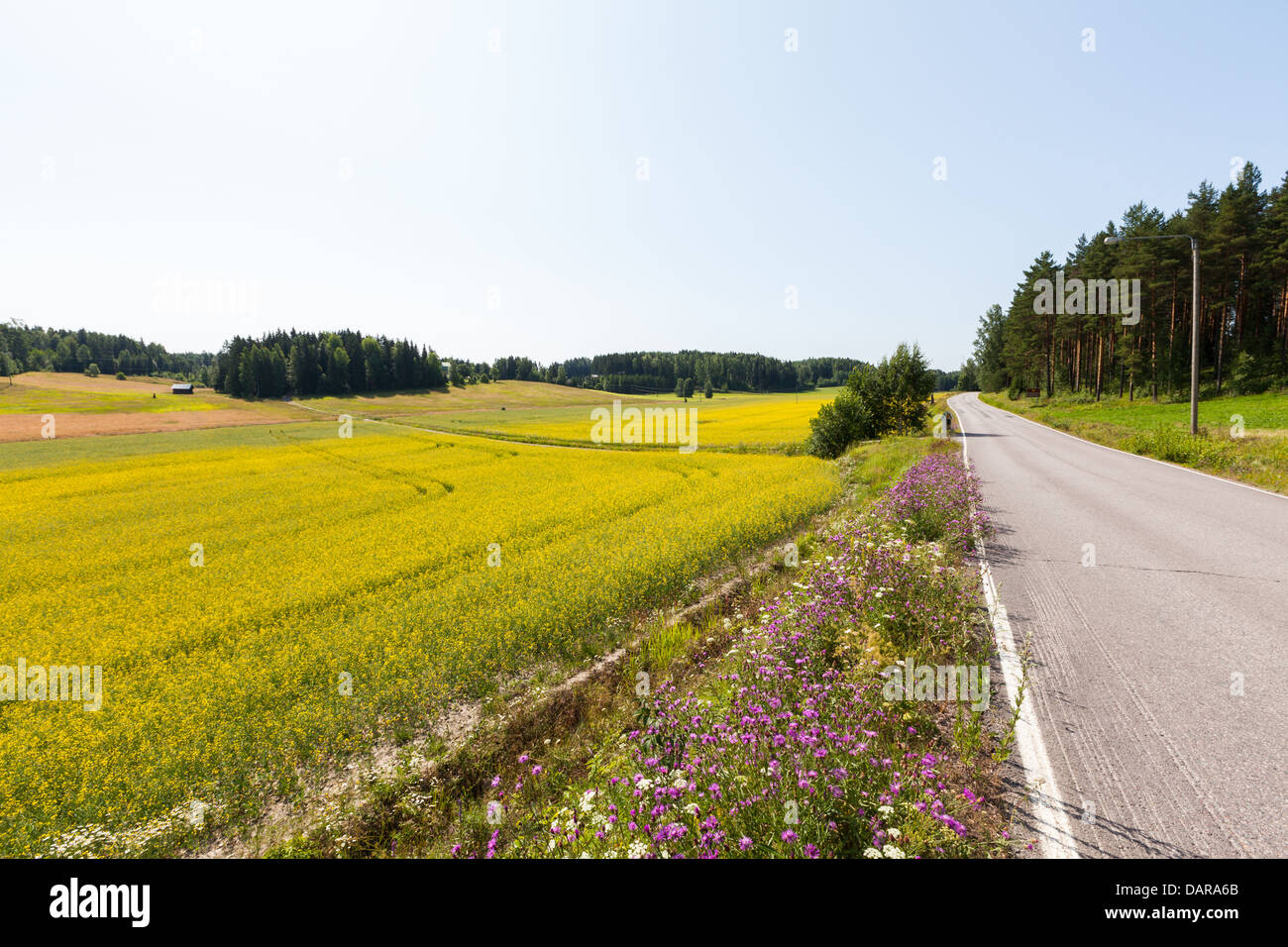 Beautiful countryside view in Finland Stock Photo - Alamy