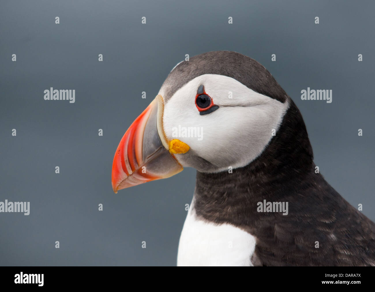 A580 hi-res stock photography and images - Alamy