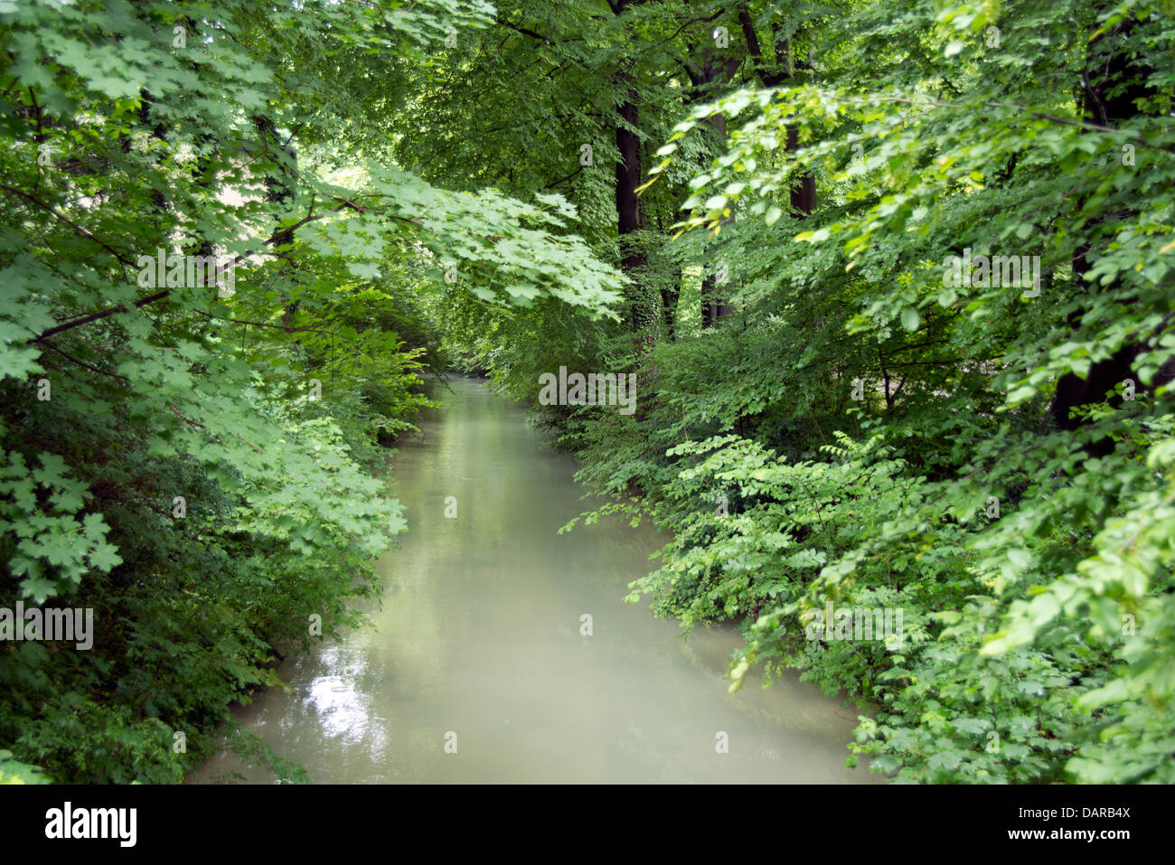 Quiet stream with leafy, tree-lined banks Stock Photo - Alamy