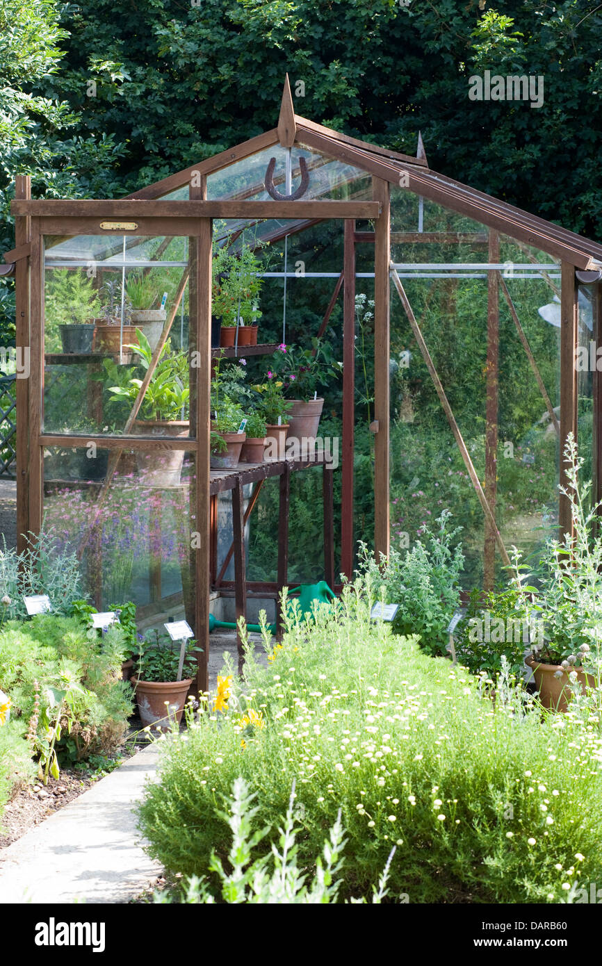 Structural plants hi-res stock photography and images - Alamy