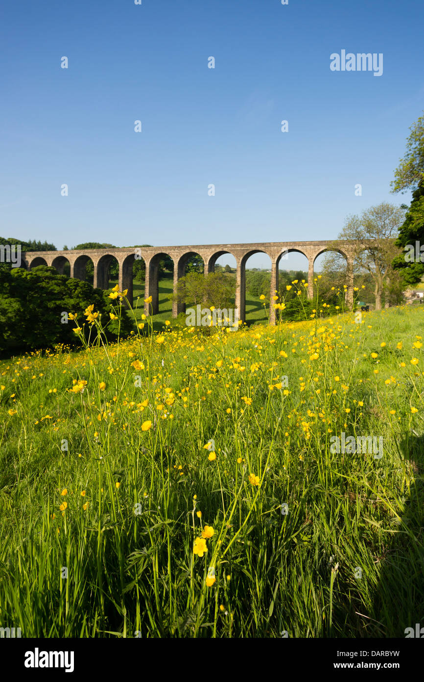 Thornton viaduct in Thornton village near Bradford Stock Photo - Alamy