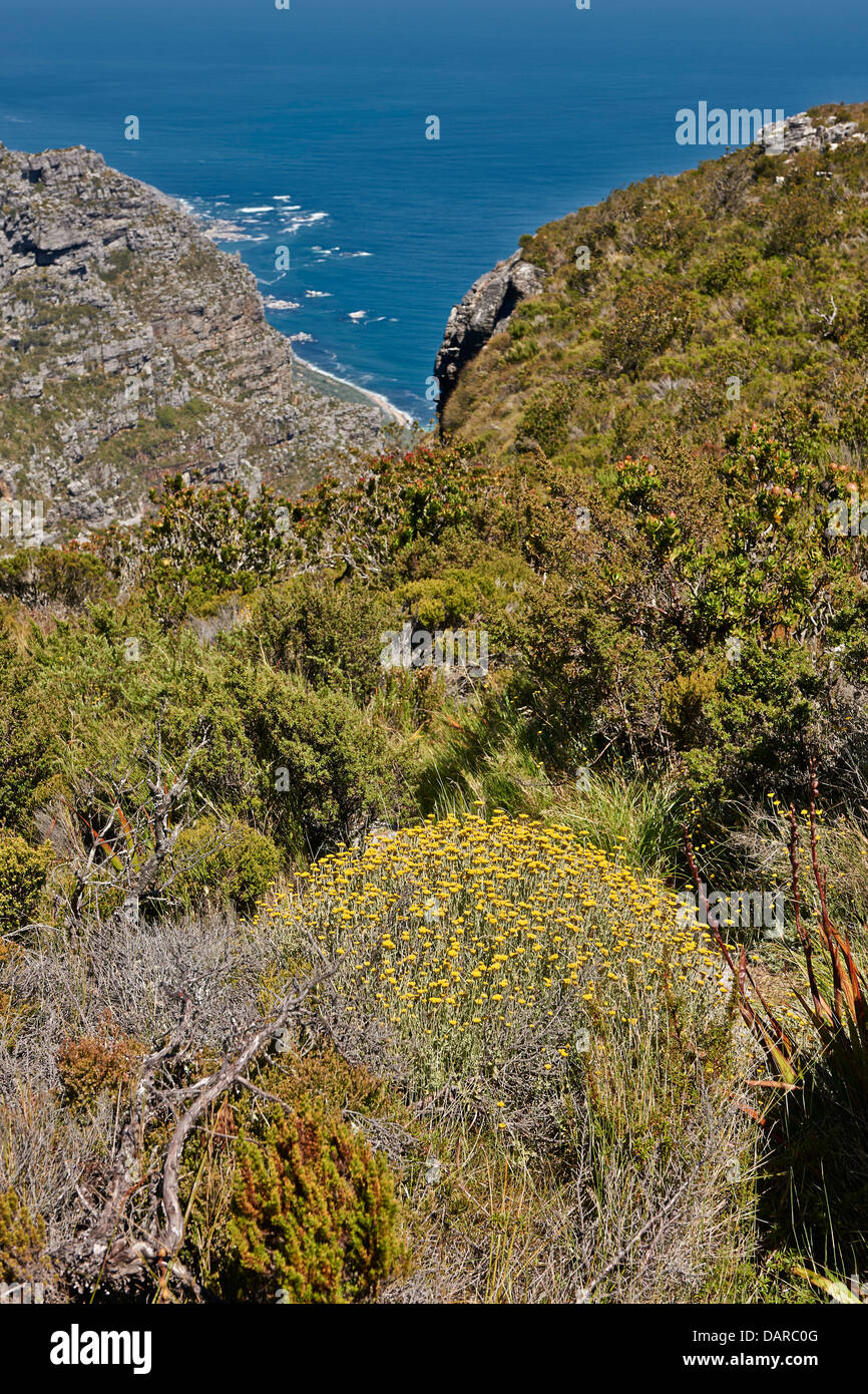 Behind table mountain hi-res stock photography and images - Alamy