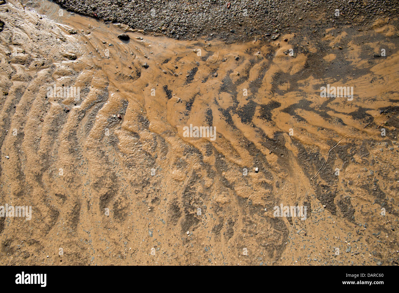 Ridged rivulets in brown mud with black sediment after a rain Stock ...