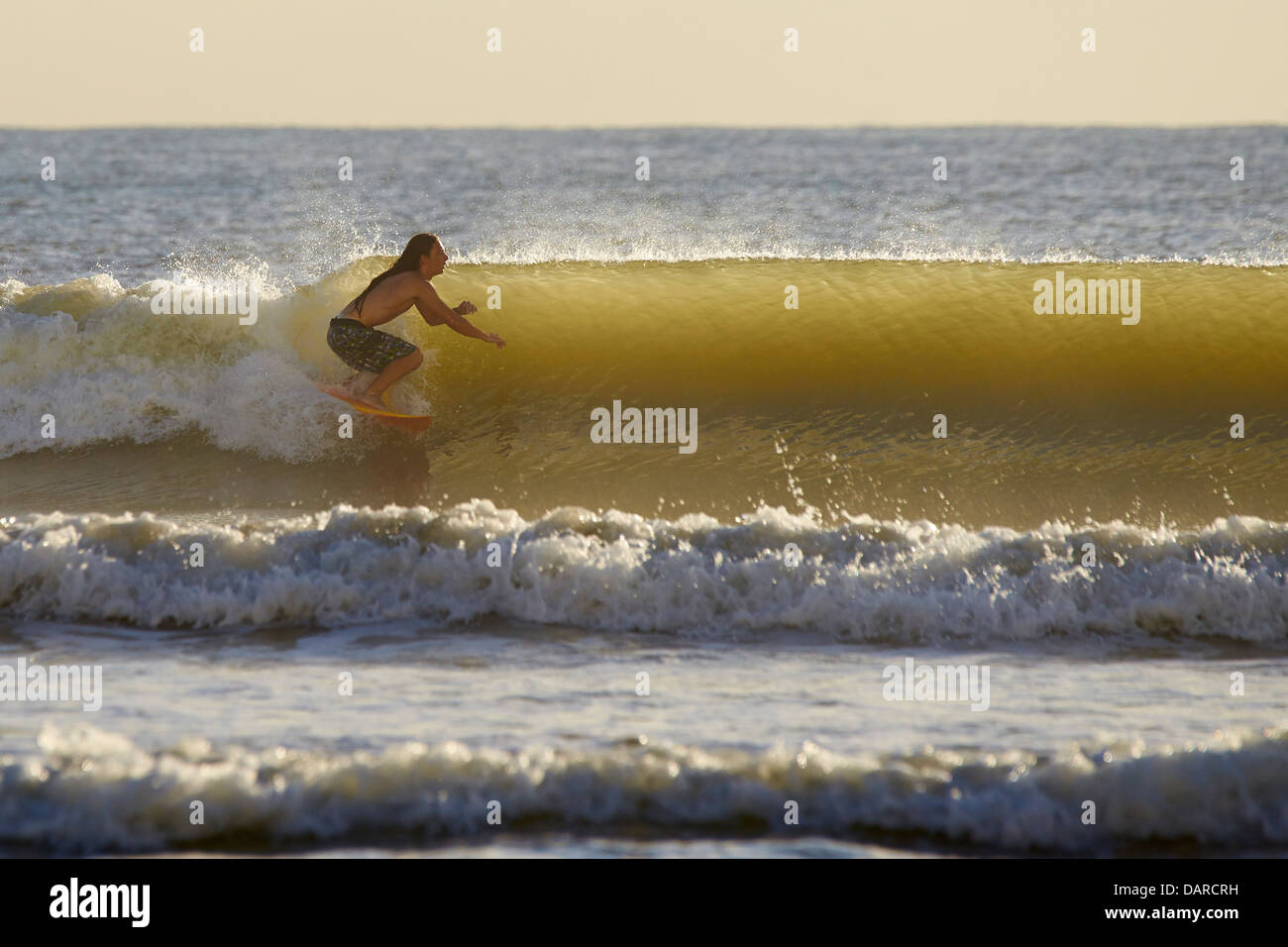 Surfing in the morning light Stock Photo - Alamy