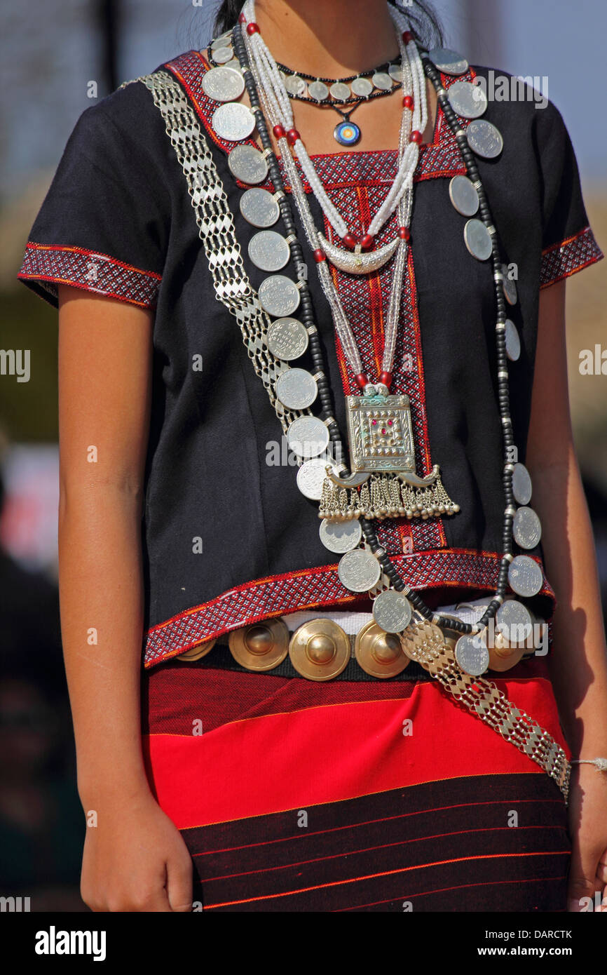 Traditional Ponung Dance of Adi tribes during Namdapha Eco Cultural Festival, Miao, Arunachal ...