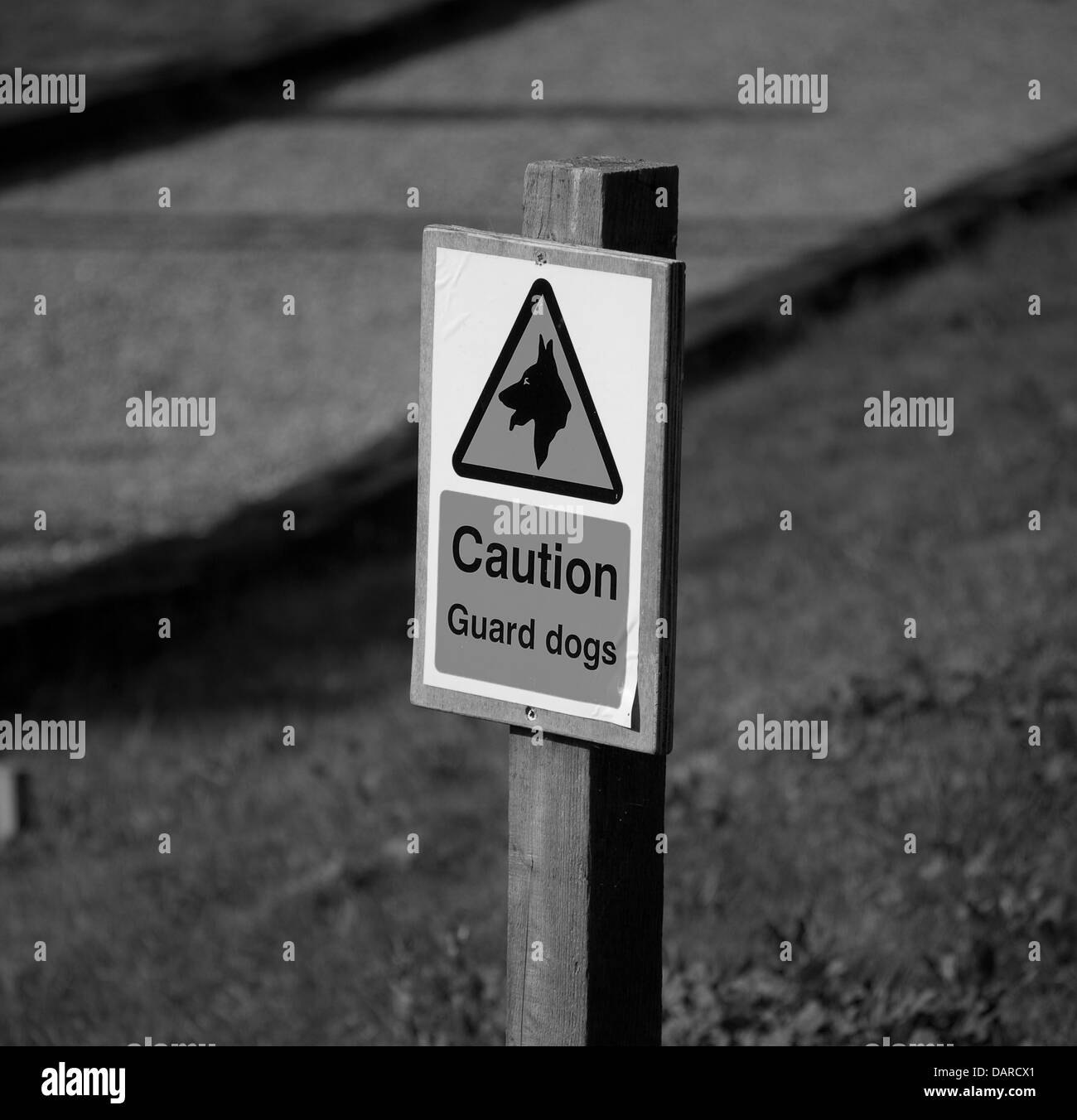 Caution Beware Of the Guard dogs sign in black&white Stock Photo - Alamy