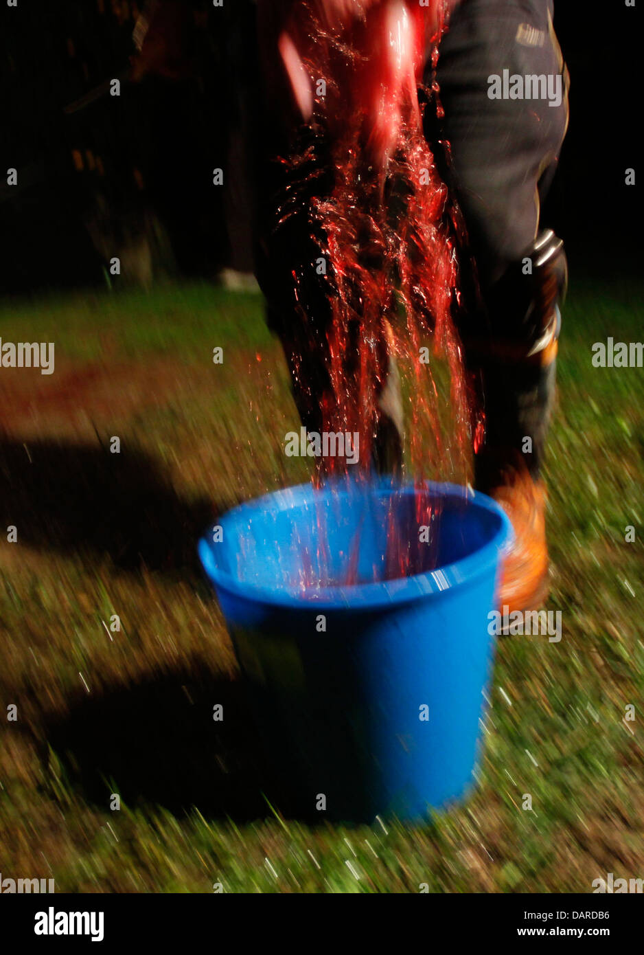 Different scenes from a traditional slaughter day in a village in the ...