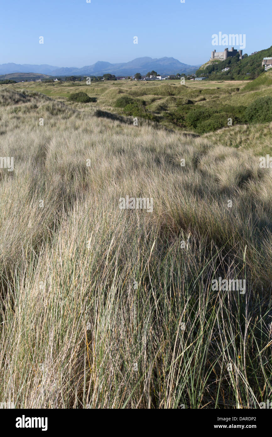 Town of Harlech, Wales. The sand dunes of Harlech beach with Harlech ...