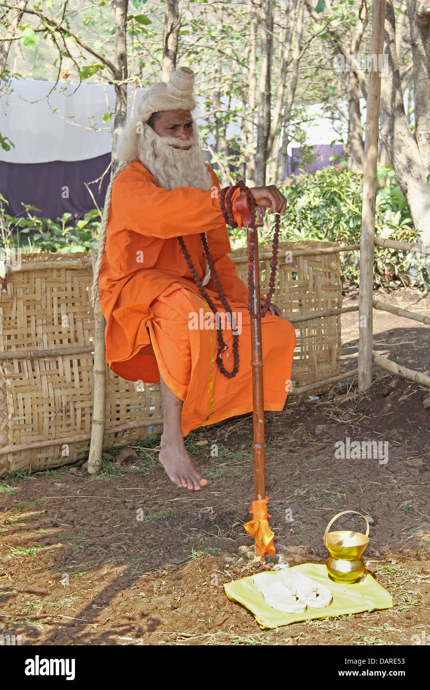 A Holy Man Of Hinduism, Yogi, India Stock Photo - Alamy