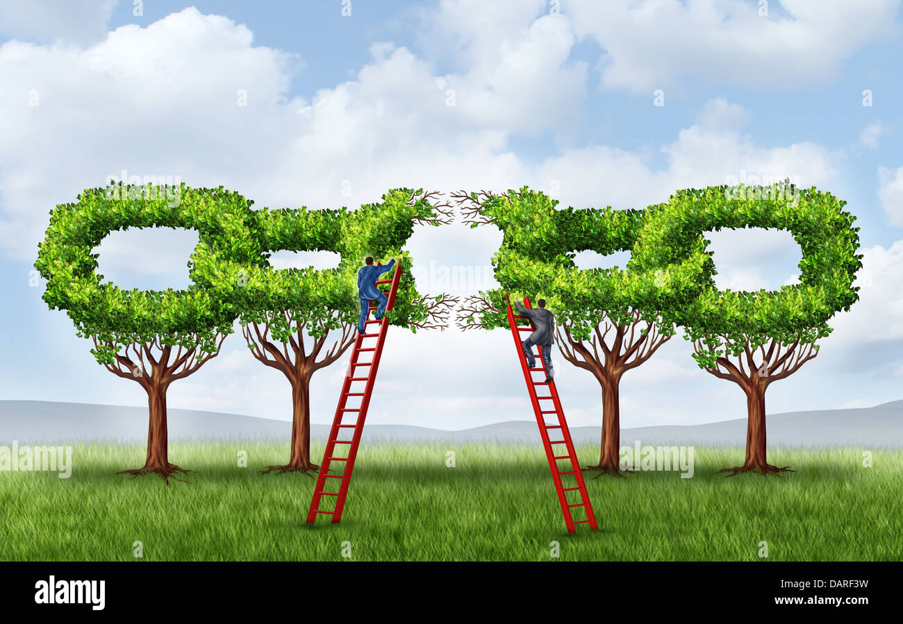 Growing a business partnership and repairing a connected network as a ...