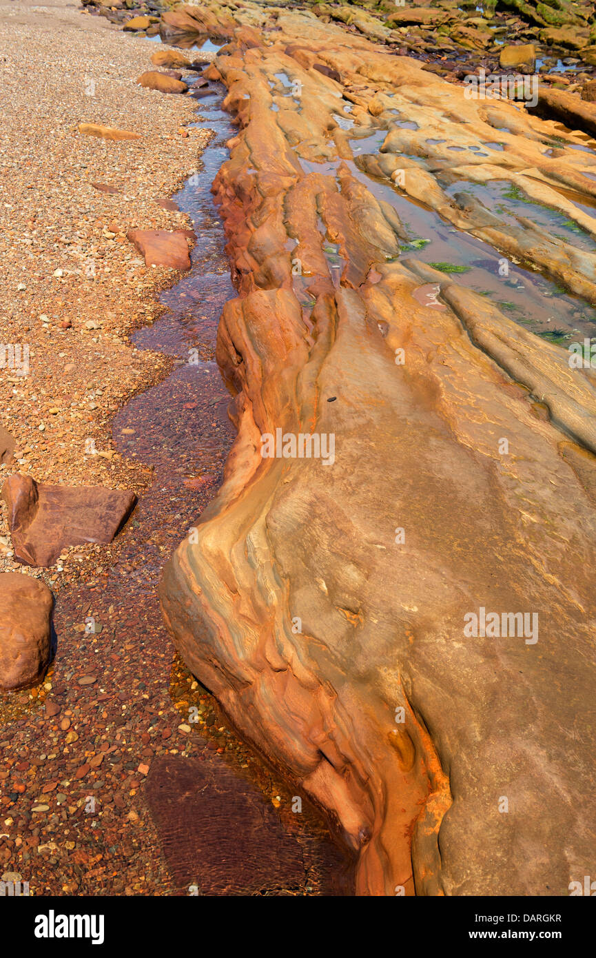 Spittal Beach Sandstone rock strata covered in iron ore. Spittal ...