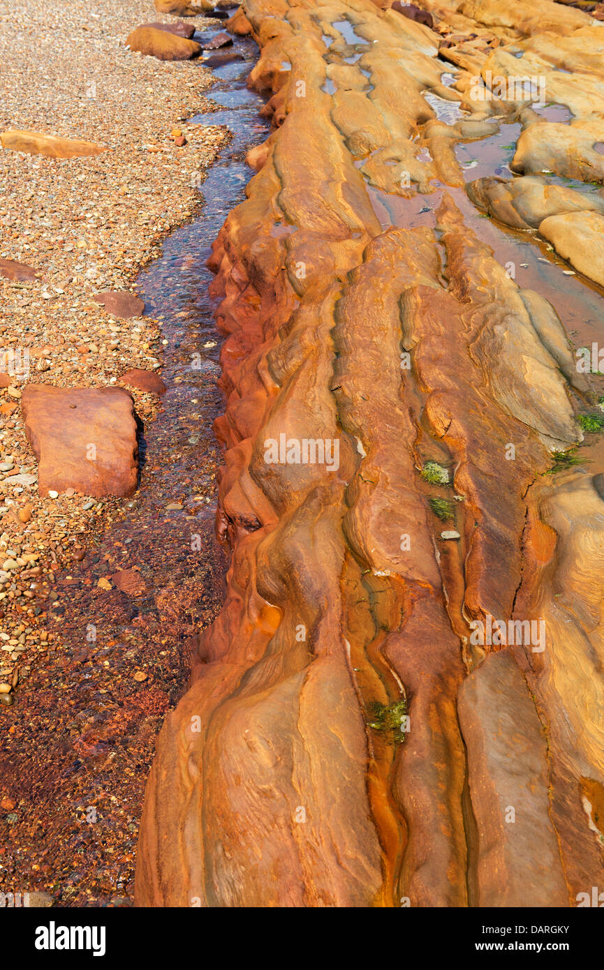 Spittal Beach Sandstone rock strata covered in iron ore. Spittal ...