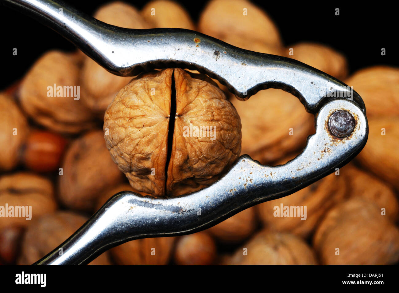 Walnut in a nutcracker with mixed nuts to the rear Stock Photo - Alamy