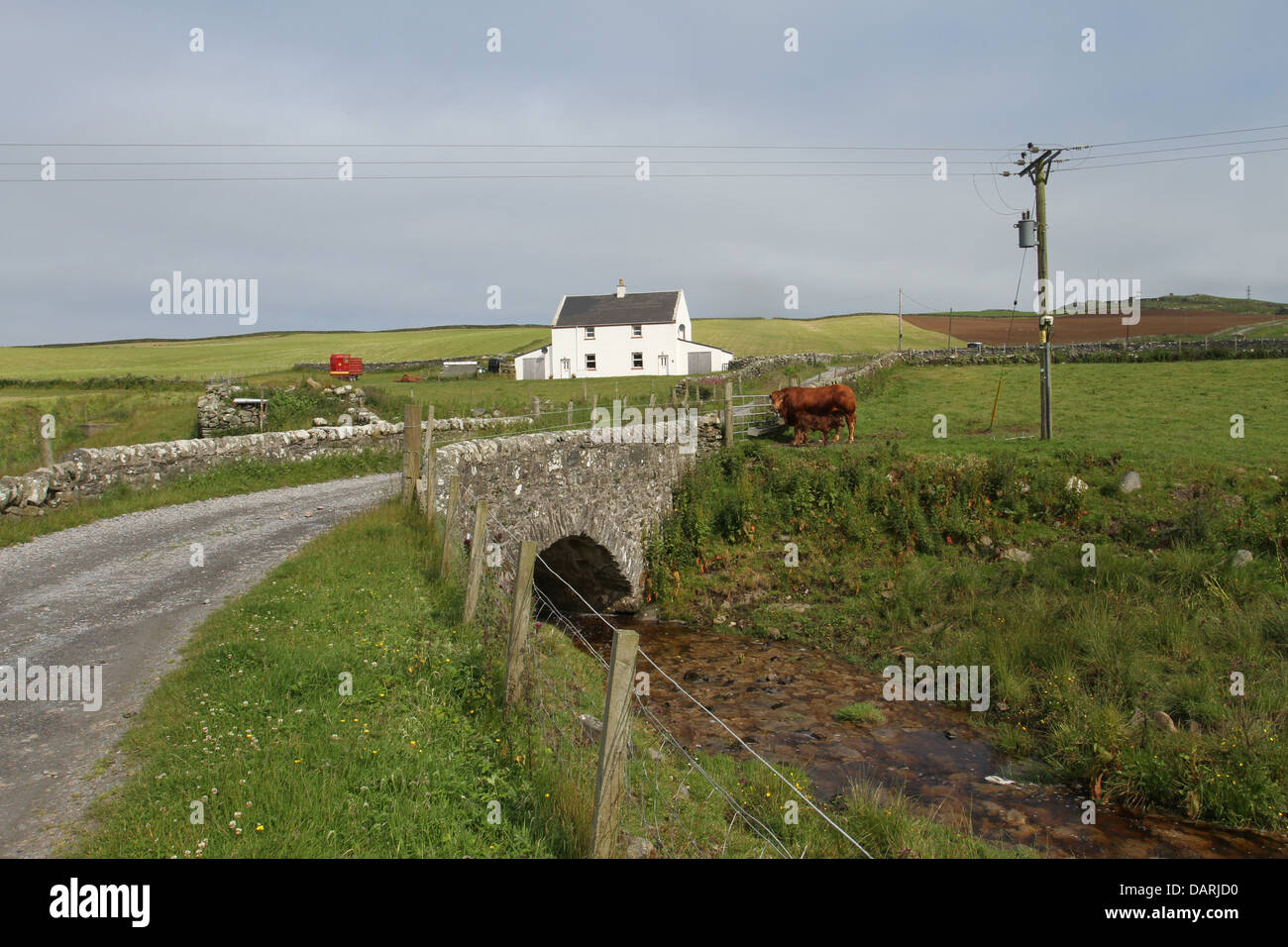 Farm at Kilchiaran Isle of Islay Scotland July 2013 Stock Photo - Alamy