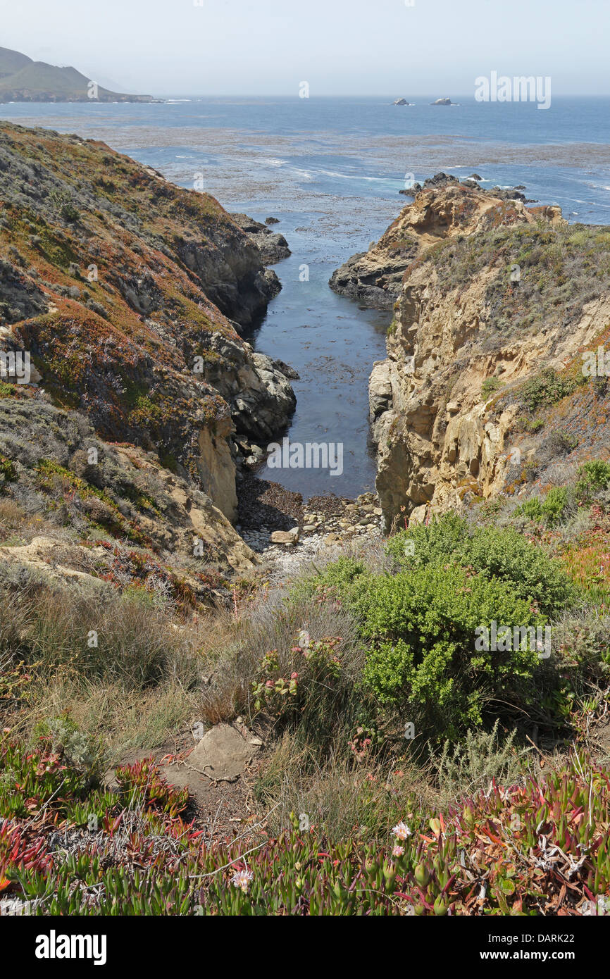 Small cove on the Californian coast Stock Photo - Alamy
