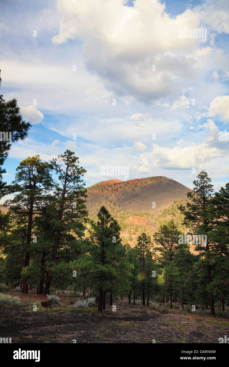 USA, Arizona, Flagstaff, Sunset Crater National Monument, Cinder Cones ...