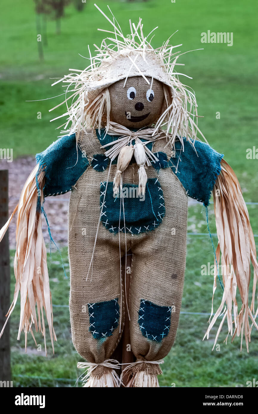 Scarecrow field spring uk hi-res stock photography and images - Alamy