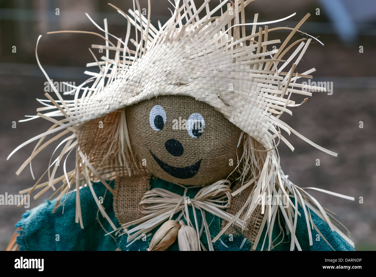 Scarecrow field spring uk hi-res stock photography and images - Alamy