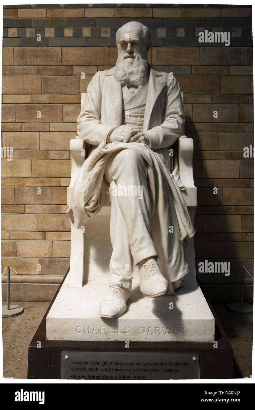 Darwin Statue at National History museum, London, England, UK, GB Stock ...