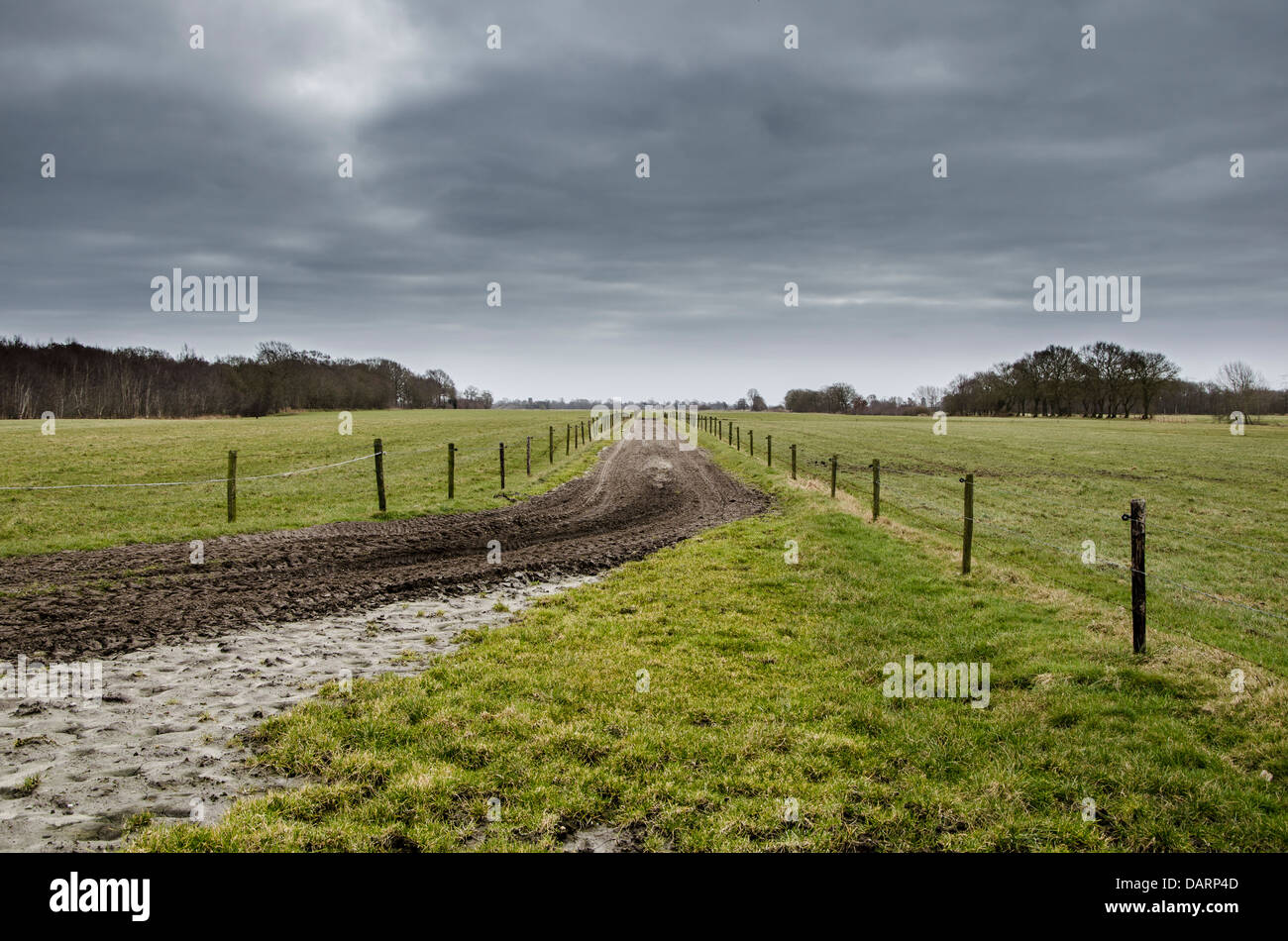 Grey sky arround the meadow of a farm with straight line in to the ...